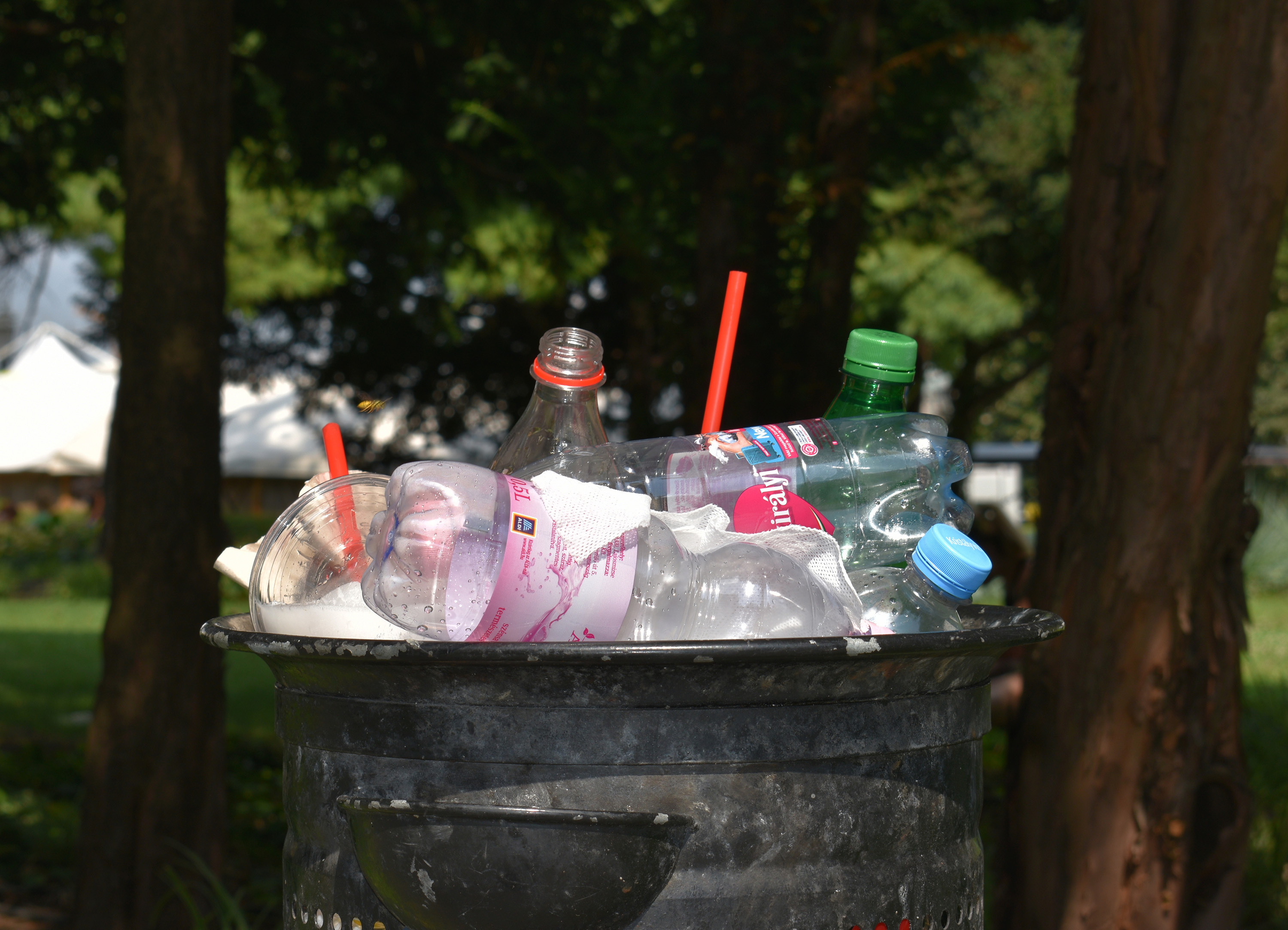 He saw so much single-use, soft plastic lying around, this nonprofit ...
