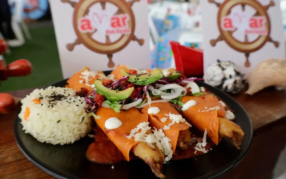 Master the art of perfect enchiladas