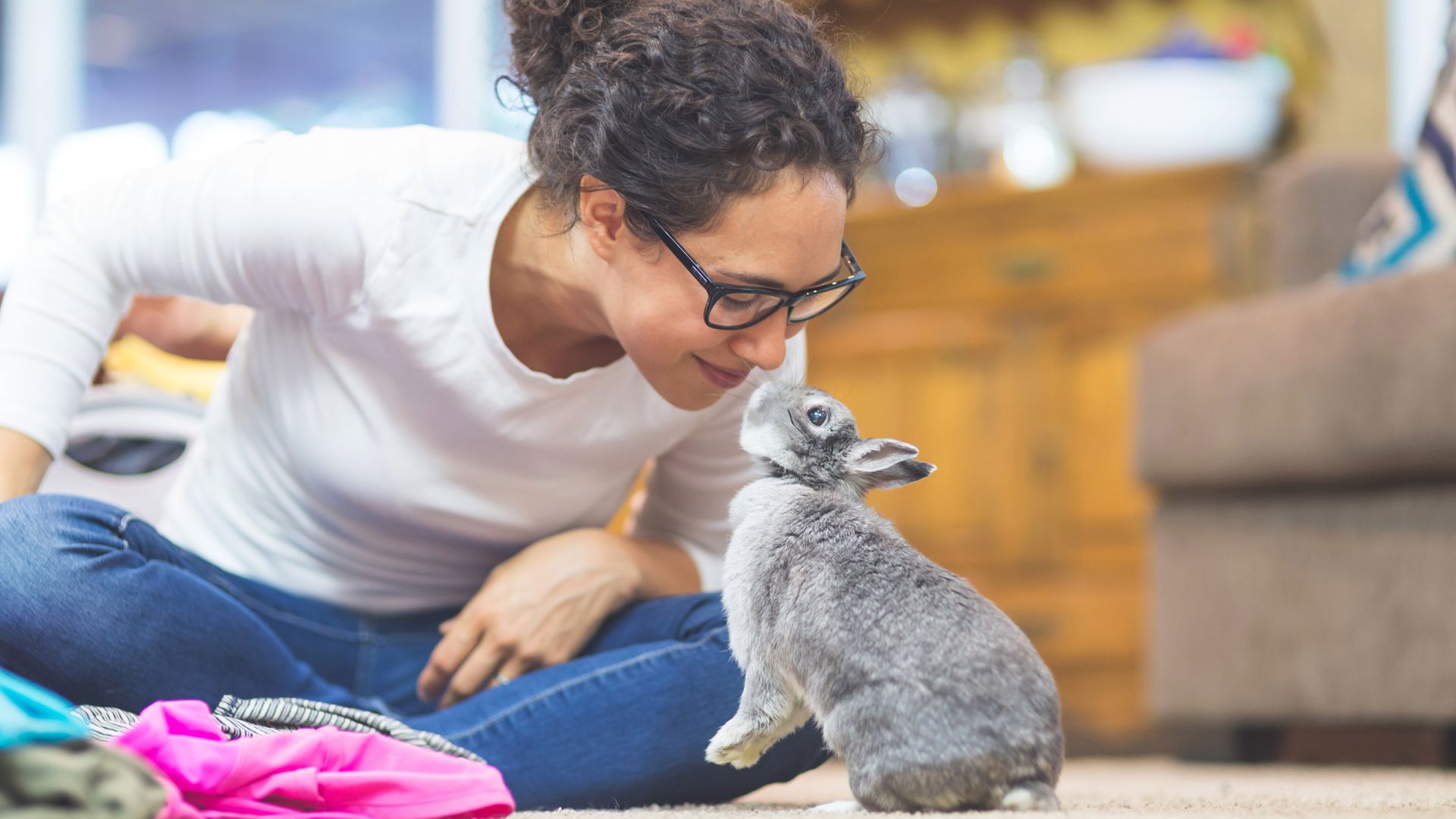 Tips for taking care of rabbits