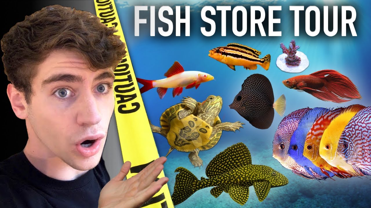 Crazy fish + reptile store tour!