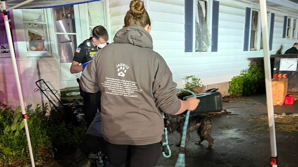 27 dogs rescued from Johnstown residence, owner charged
