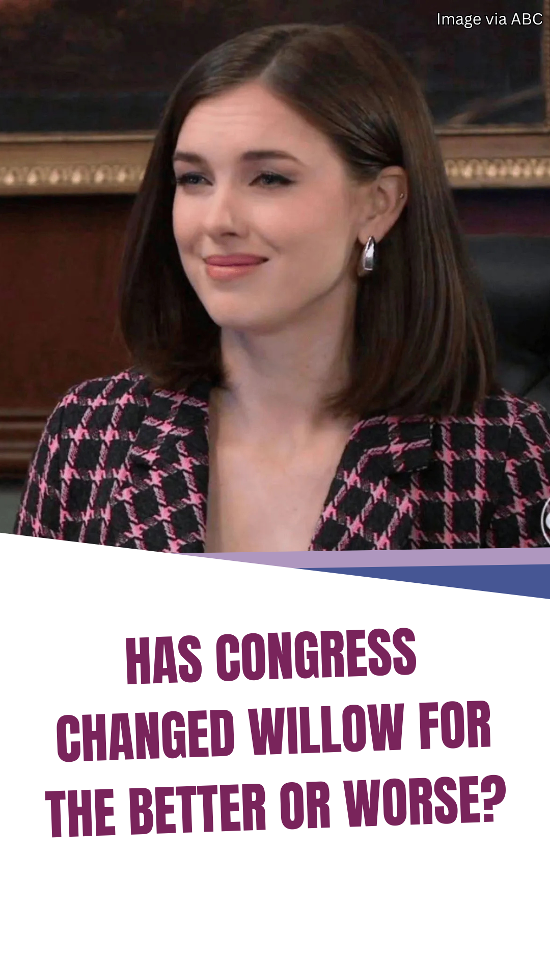 Has Congress changed Willow for the better or worse?