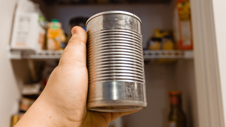 Turn Empty Soup Cans Into An Adorable Feeder Birds Will Love