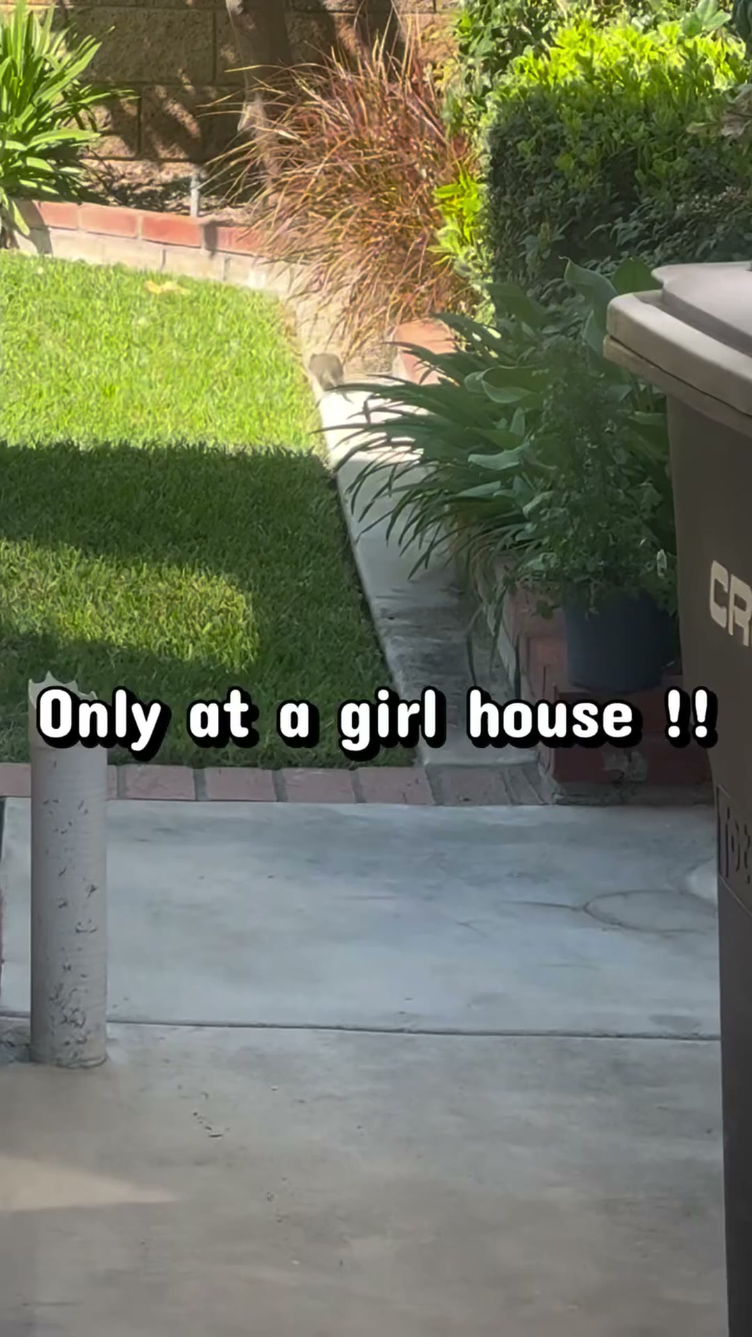 Girls team up to rescue a fluffy rat from the backyard fence