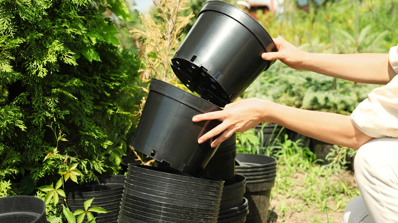 Goodbye traditional nursery pots: There's a non-toxic alternative for ...