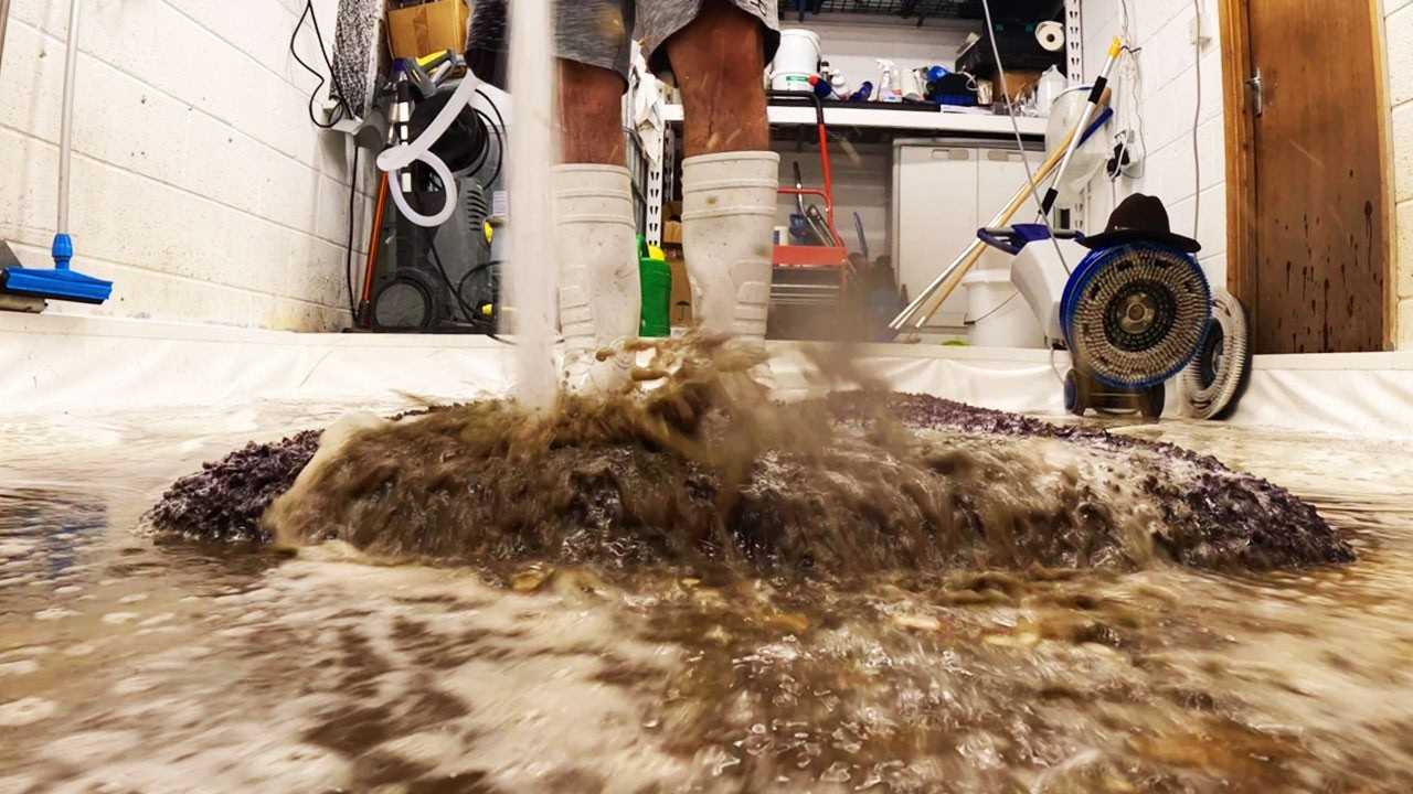 Watch this heavy roller transform my carpet