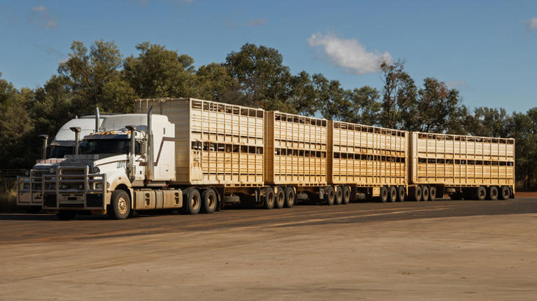 Australia's longest road trains dwarf American semi trucks (but they'd ...