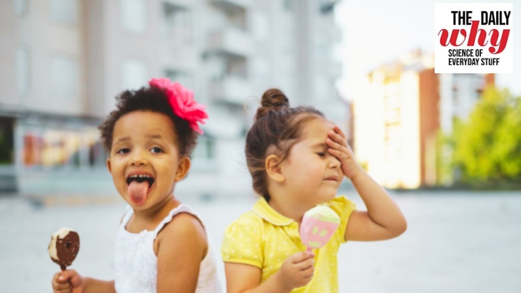 Why we get brain freeze: What happens inside your head after a cold bite