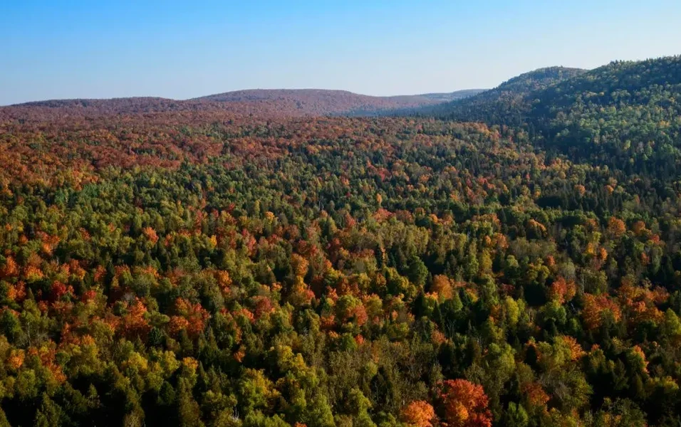 Exploring the wild heart of Superior National Forest