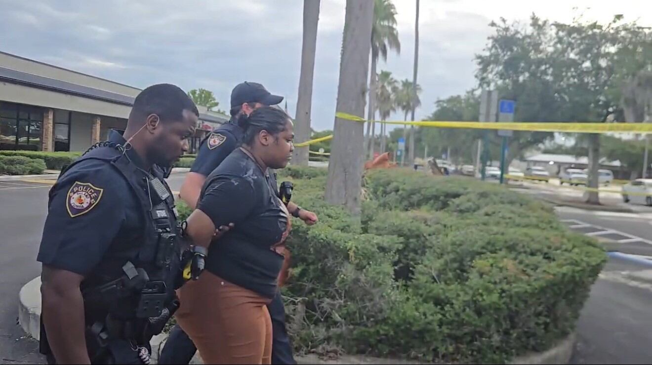 ‘I’m not a bad mother:’ Arrested woman disputes police hot car claims