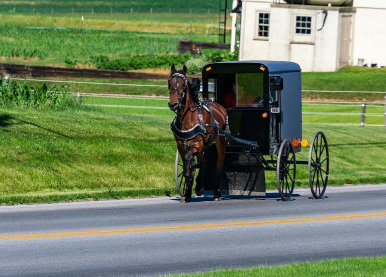 Three Kentucky kids seriously injured after car crashes into horse and ...