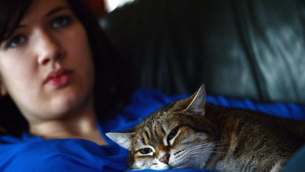 Cat’s stair-climb to aid injured owner melts hearts online