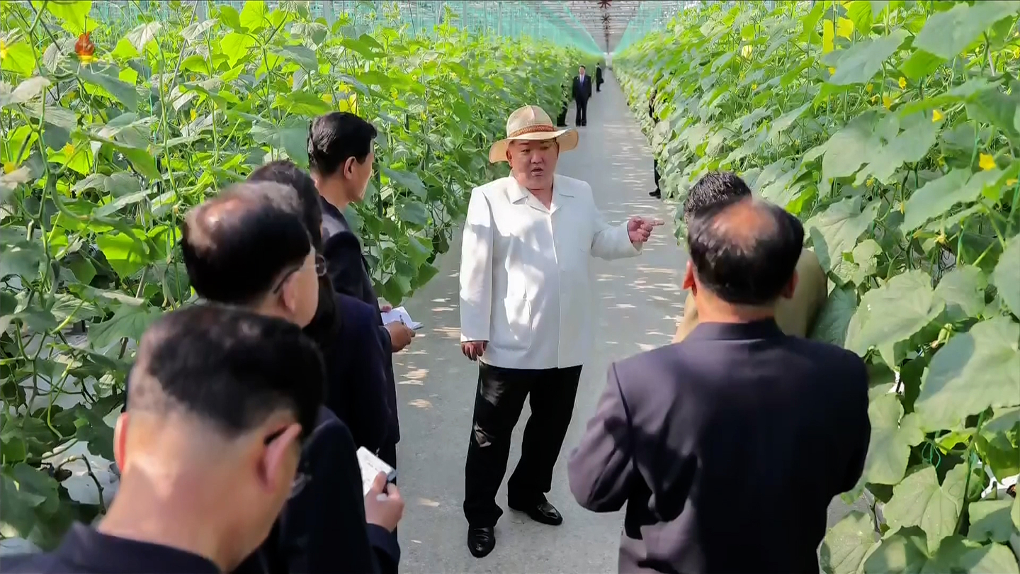 Kim Jong-un inspects Sinuiju greenhouse complex, calls for year-round ...