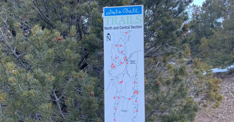 Skip the hike - this New Mexico mountain biking trail is even better