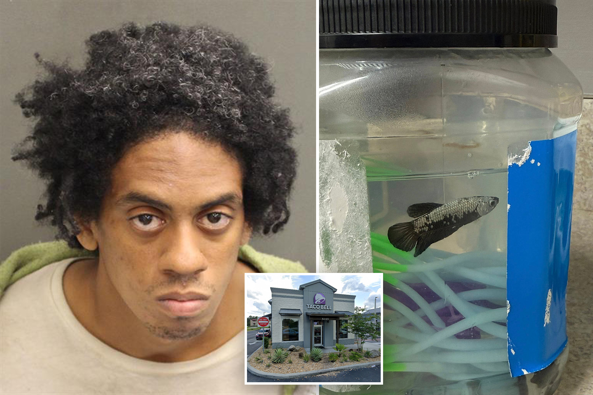 Cops bust creep carrying pet fish and exposing his 'chimichanga ...