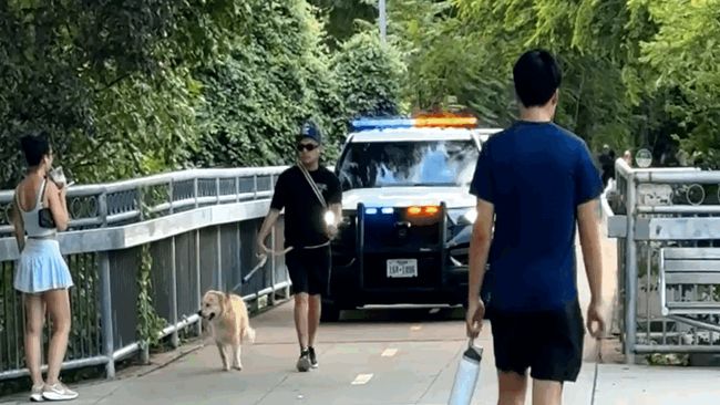 'Your dog has more situational awareness than you': Officer roasts ...