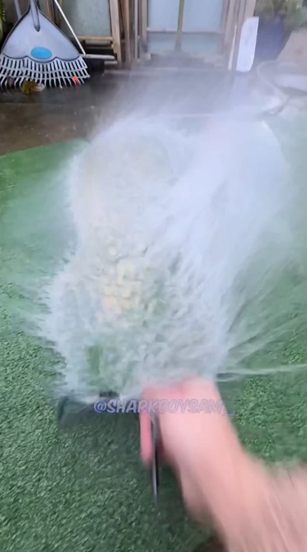 Doggy flooded my garden and made a huge mess