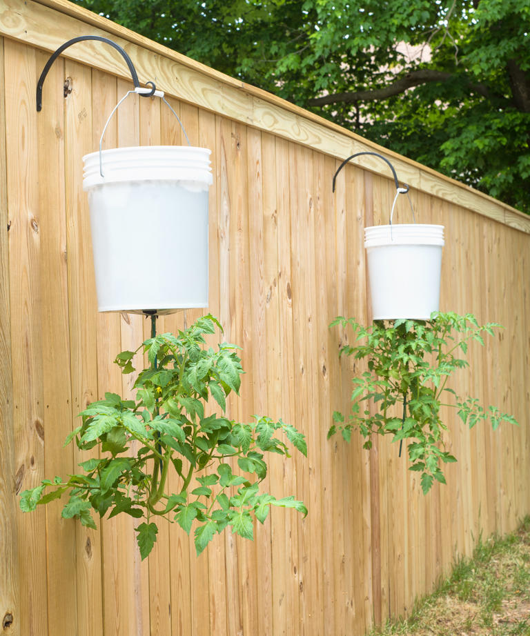 Upside down plants – turn your garden on its head to maximize small ...