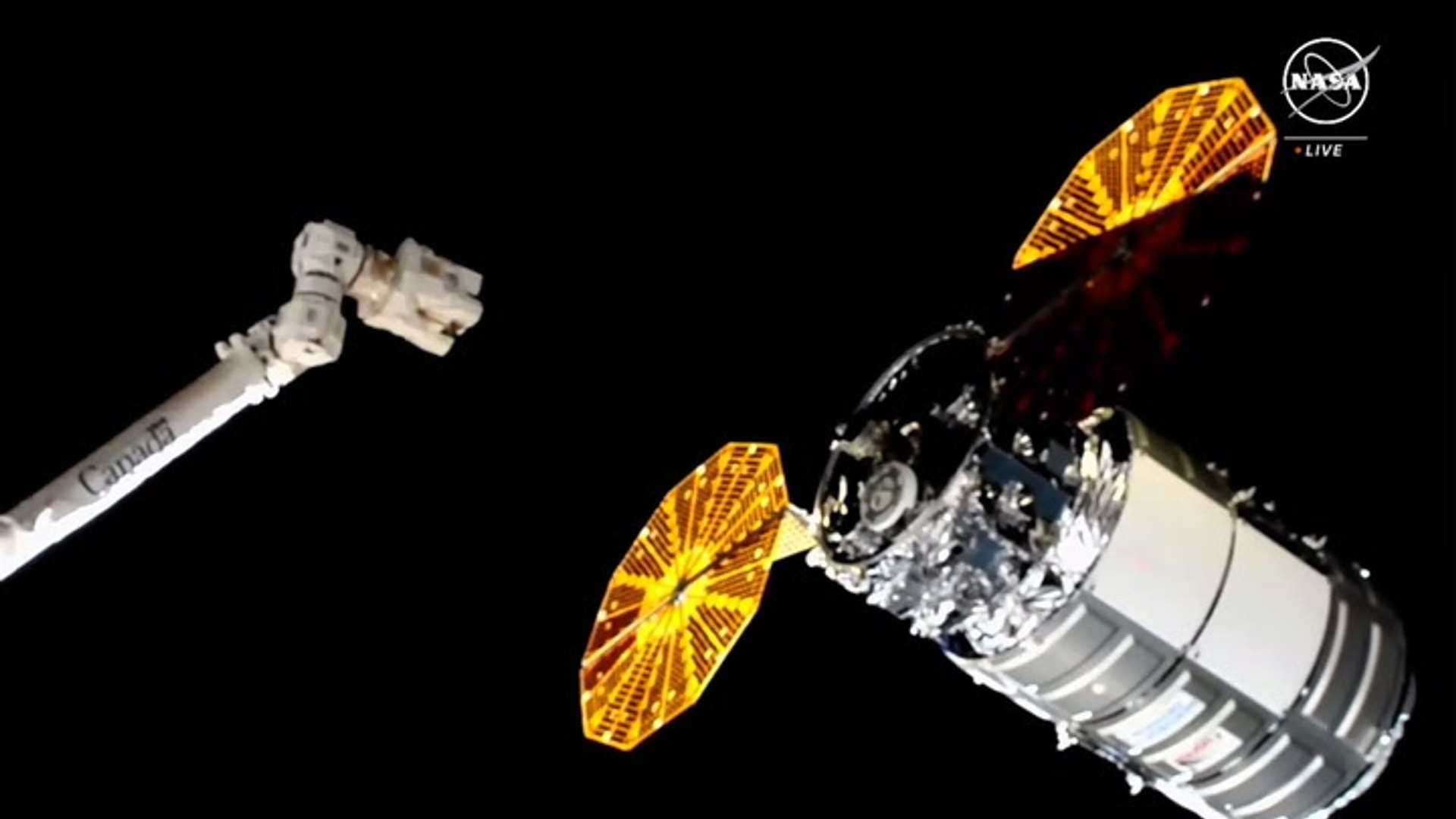 Private Cygnus cargo ship captured by space station robotic arm