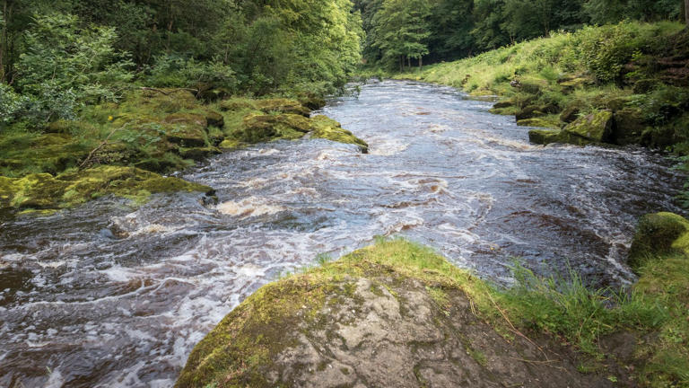 Girl dies after being pulled from river