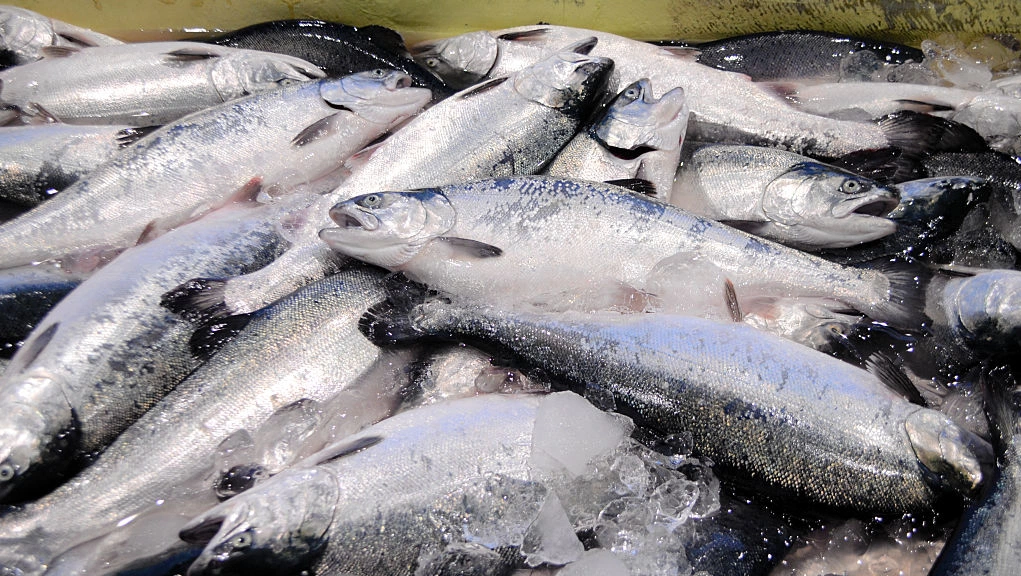 Salmon secrets every home cook should know