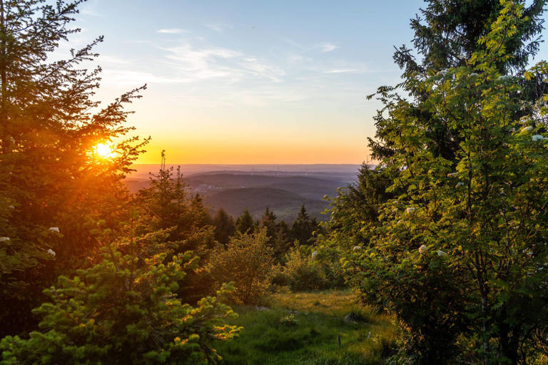 Besseres Wetter zum meteorologischen Sommeranfang erwartet