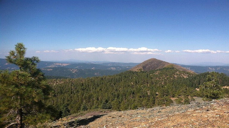 Forget Redwood National Park, visit this California national forest ...