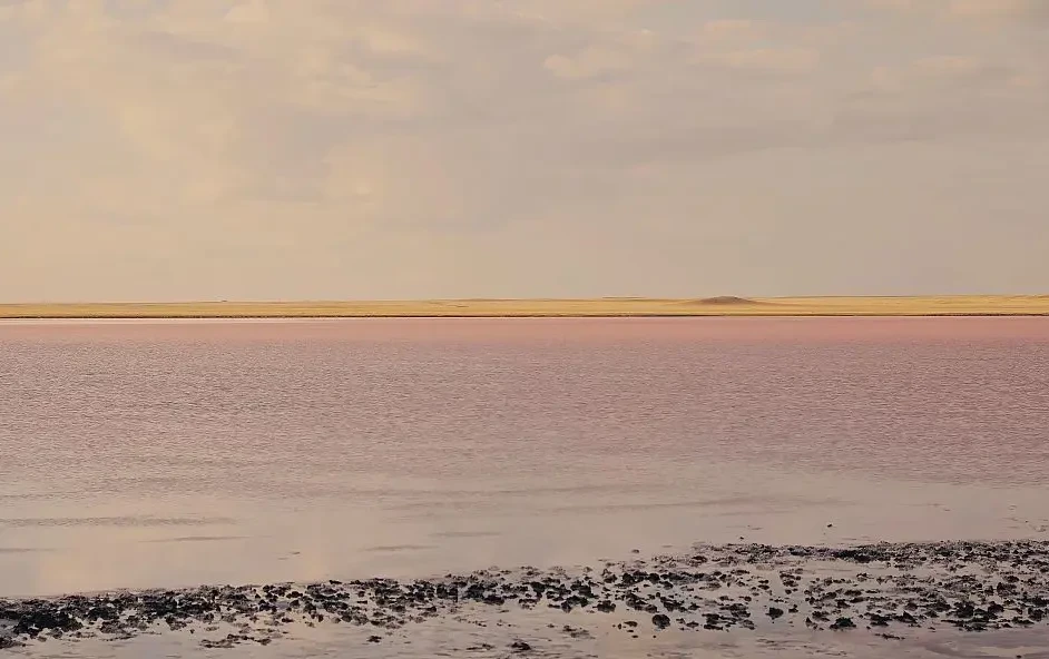 The surprising science behind pink lakes