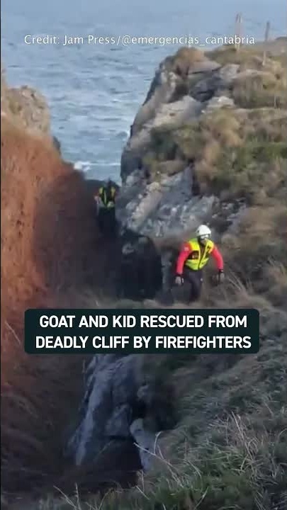 Firefighters rescue goat and kid from deadly cliff