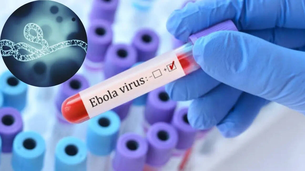 WHO confirms Ebola recoveries amid growing fears over rare untreatable ...