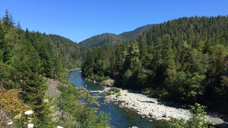 Forget Redwood National Park, visit this California national forest ...