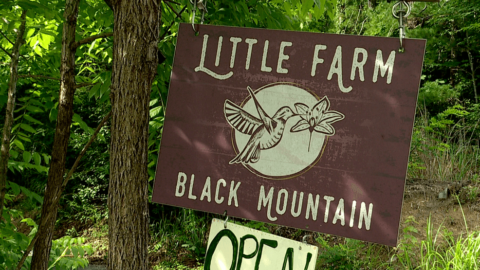 WNC family transforms Helene-ravaged property into community farm