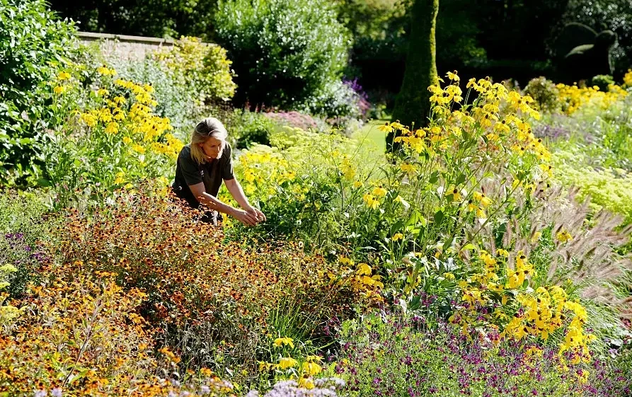Turn your overgrown yard into a dream garden