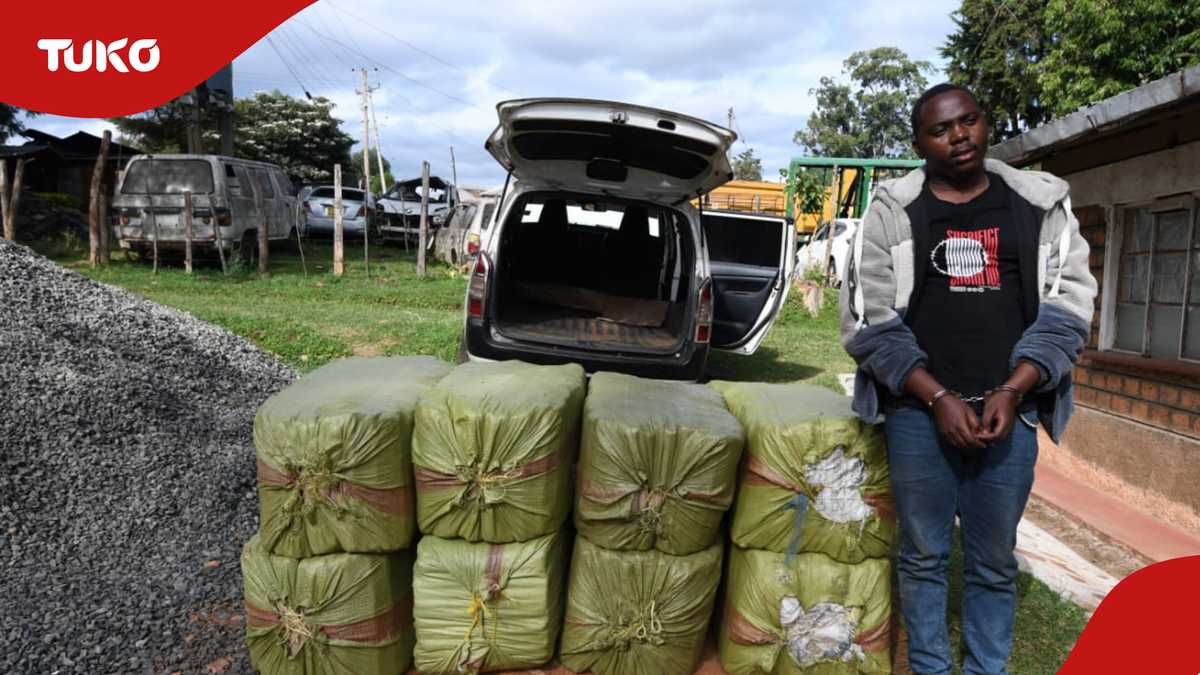 Bomet: DCI arrests suspect ferrying 8 bags of bhang in intelligence-led ...