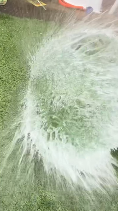 Chameleon flooded my garden and caused chaos