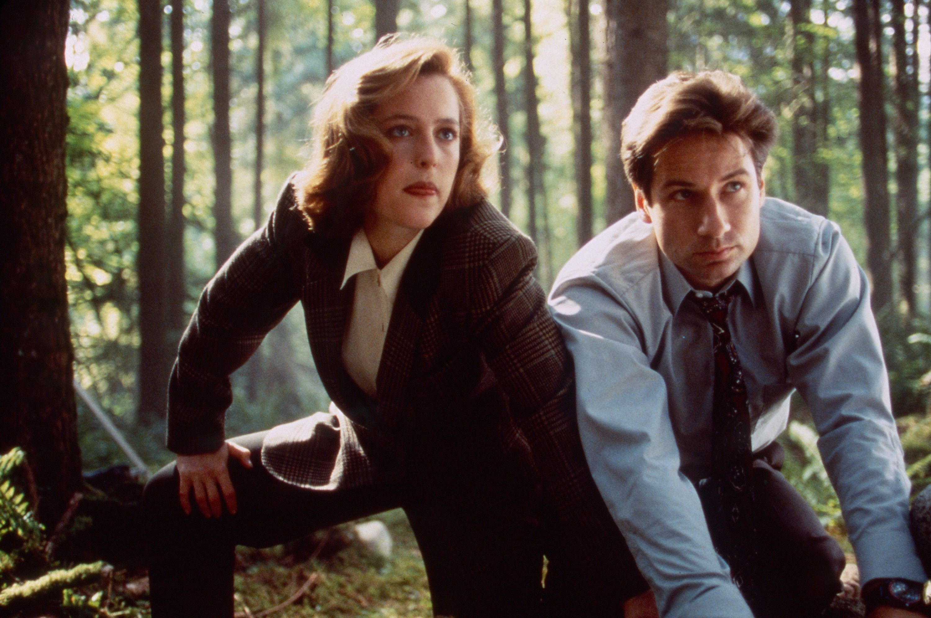 30 years ago, X-Files dropped the first clue as to who Mulder’s real ...