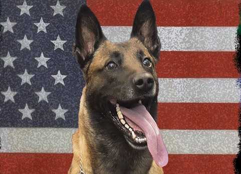 St. Lucie County's K-9 officer dies after short illness