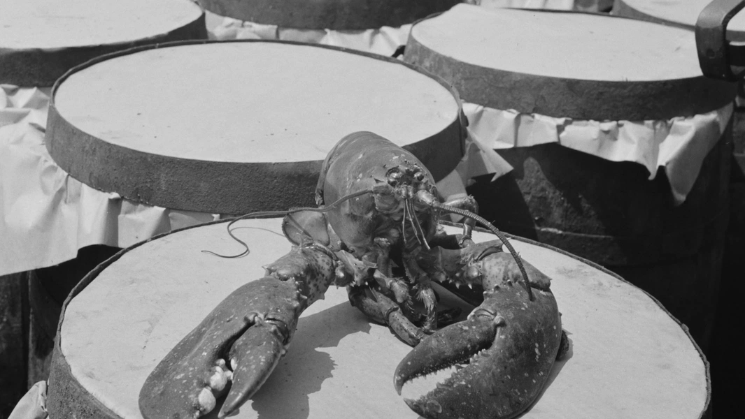 10 foods that rose from humble origins to luxury status