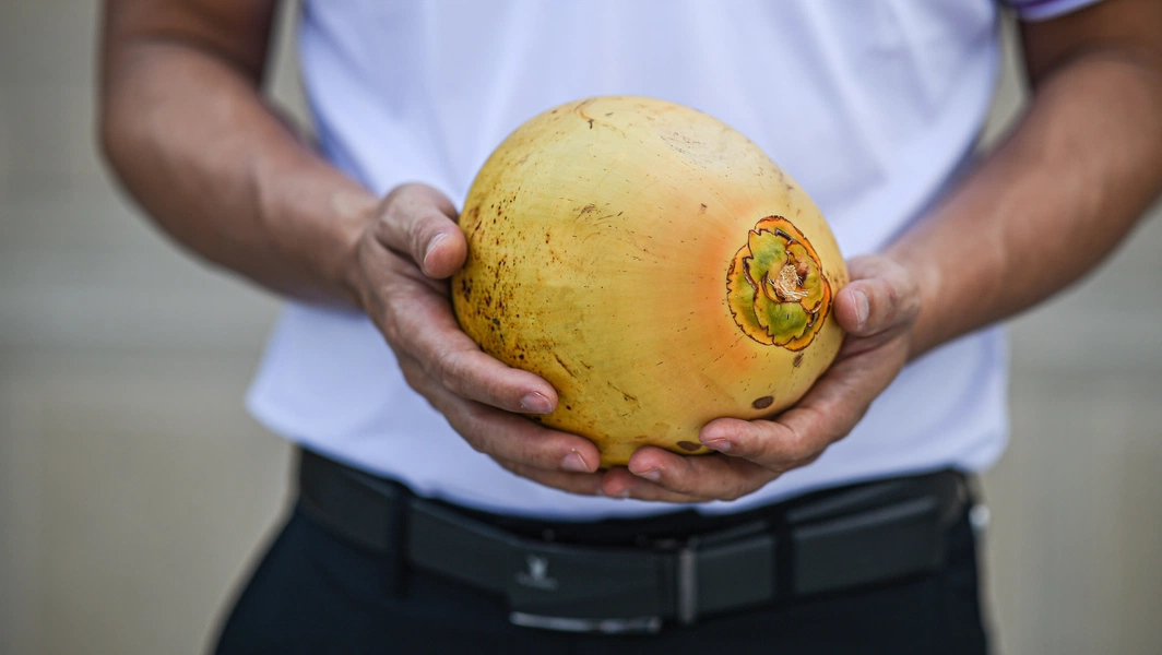 Coconut desserts that taste like a vacation