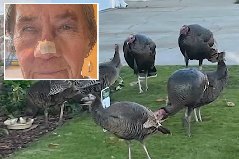 California woman, 83, left with horrific injuries after being attacked ...