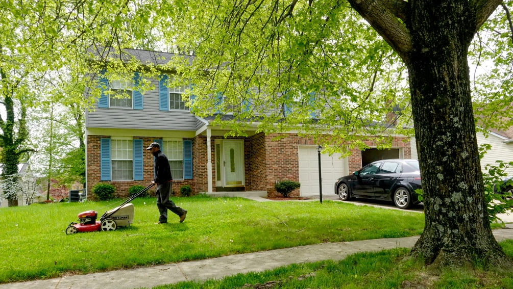 11 common lawn care myths debunked