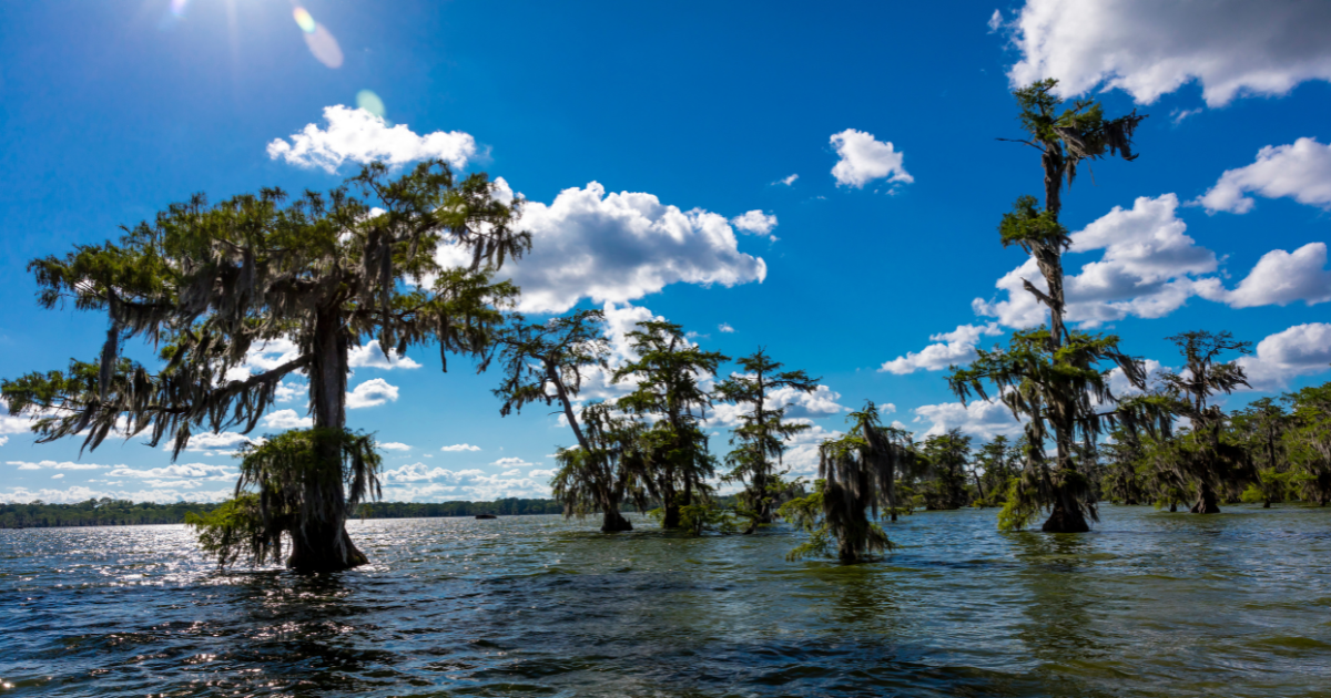 These 12 Louisiana road trips show off the best of the Bayou State