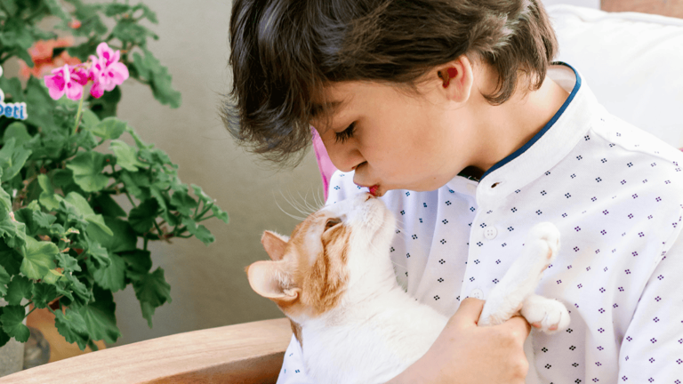 Science explains why cats suddenly become extra affectionate