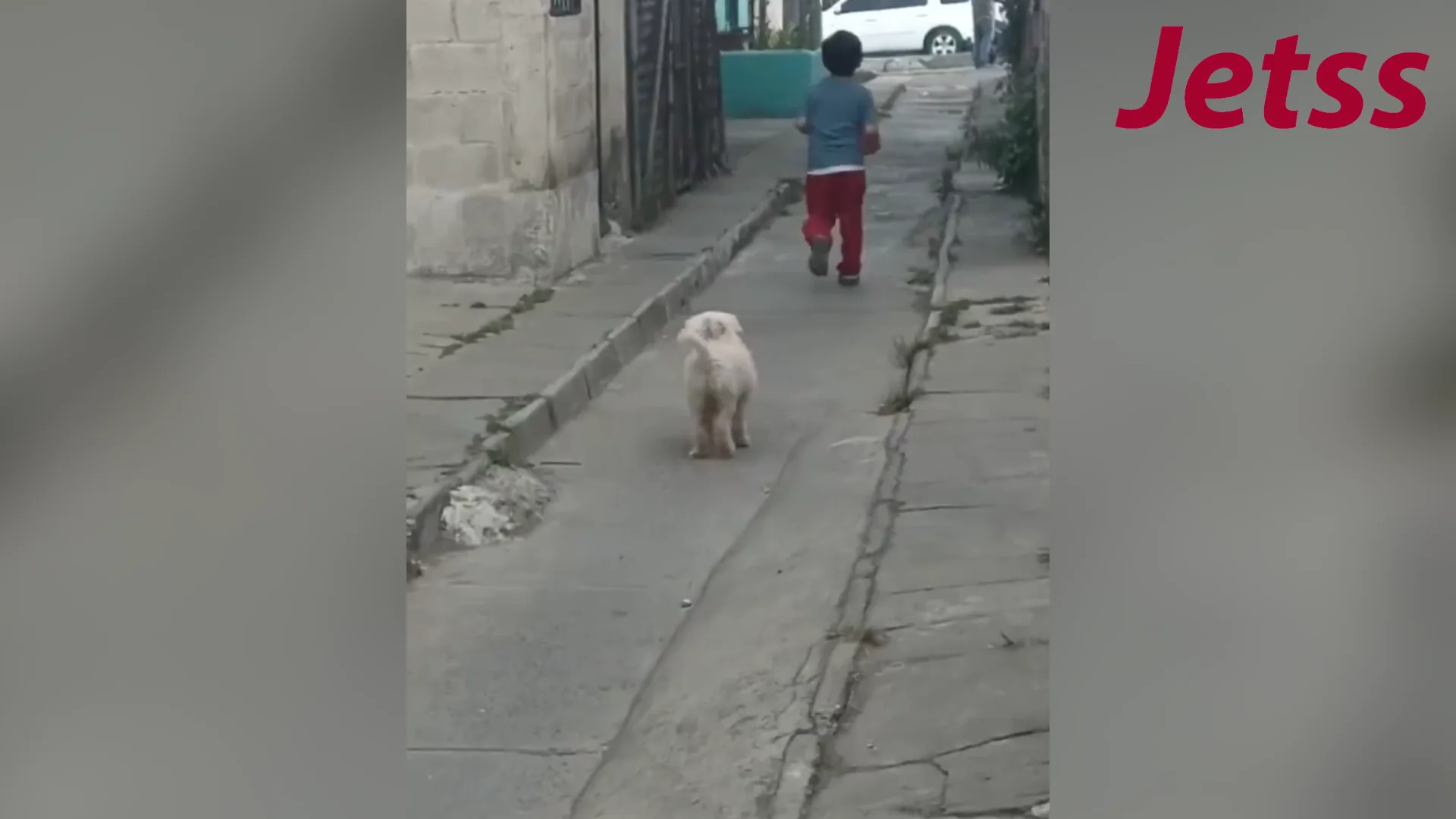 Dupla dinâmica de menino e seu pet jogando bola encanta as redes sociais