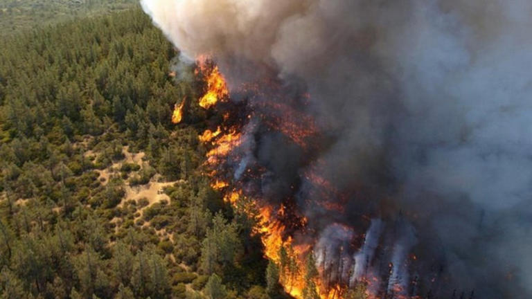 AccuWeather just boosted its 2026 wildfire forecast past 5.5 million ...