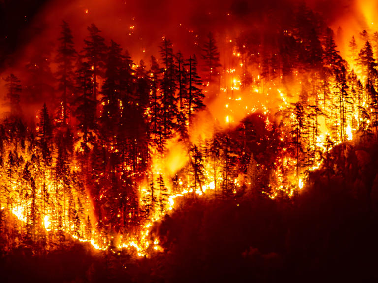 Study finds 2025 was costliest year on record for wildfires