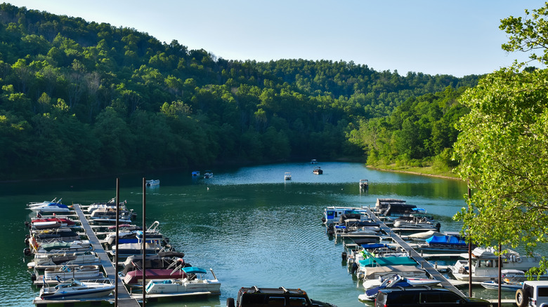 These iconic, wild, and beautiful West Virginia waters might also be ...