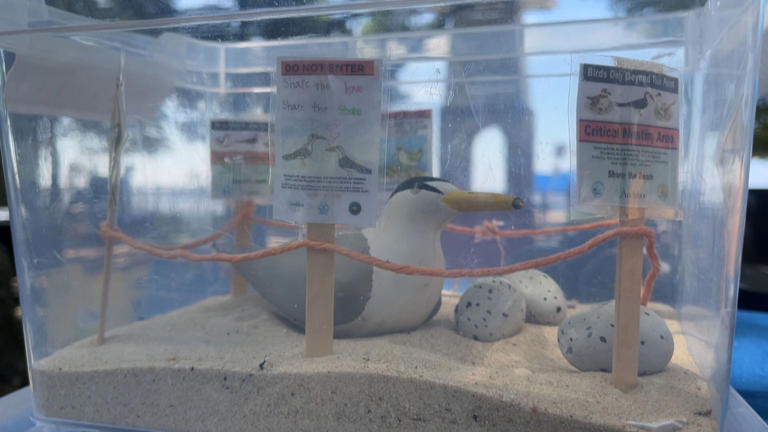 Conservation groups gather for Sand Jam in Pascagoula to celebrate ...