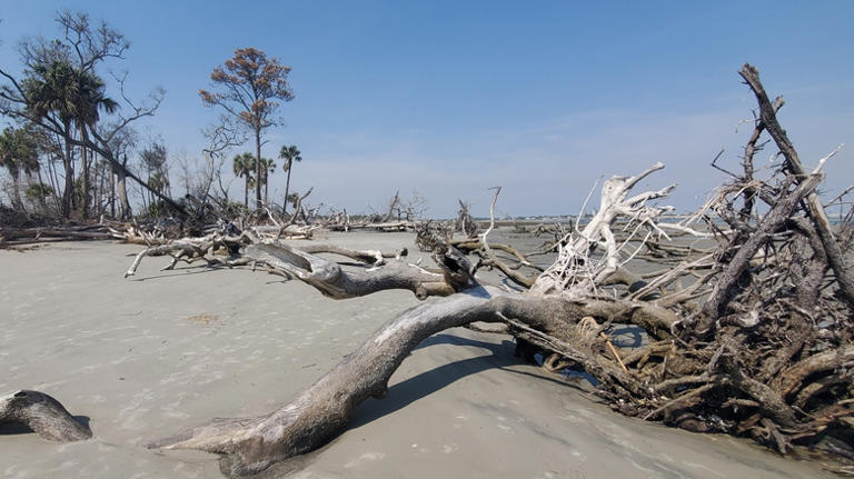 Forget Florida, retire to this southeast gem with gorgeous beaches ...