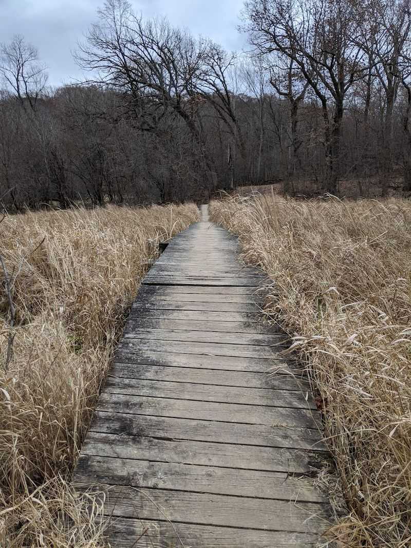 One boardwalk in Minnesota feels more like a fairy tale than a family walk